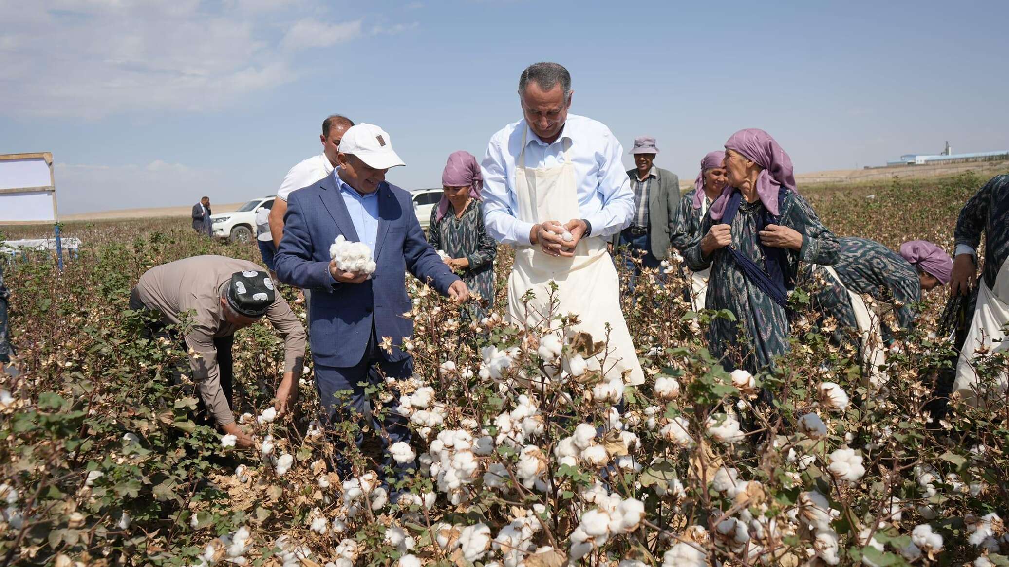 Хатлон кишти пахтаро оғоз кард