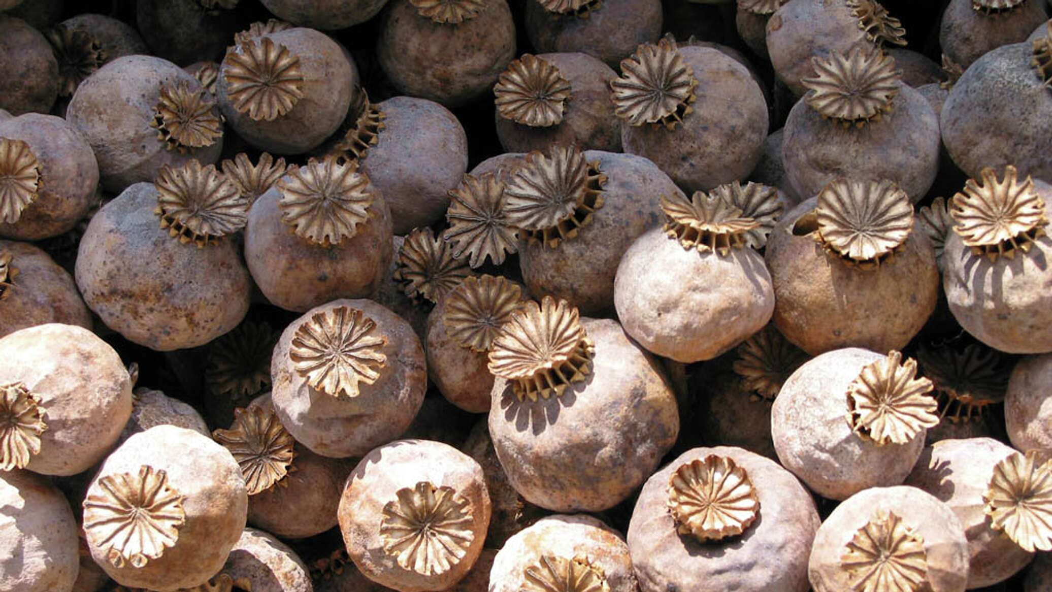 “Баҳсҳои тарёк”: Тоҷикистон аз афзойиш, СММ аз коҳиш мегӯяд - 16.02. ...